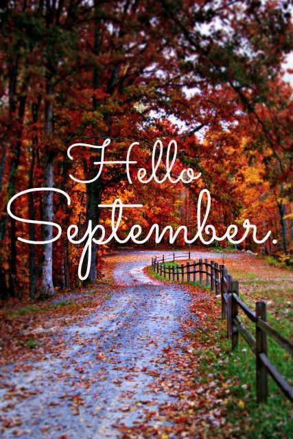 Move over January, as September has arrived! - Gail Kenny Executive ...